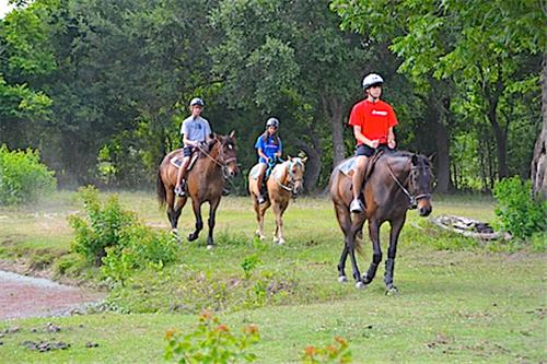 Hero Program Of New Beginnings Recovery Center - Triggr Health