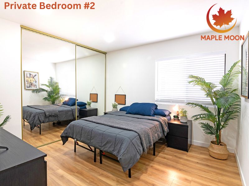 Maple Moon - Triggr Health