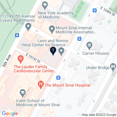 Mount Sinai Beth Israel - Triggr Health