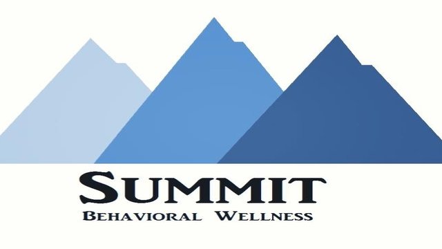 Summit Behavioral Wellness - Triggr Health